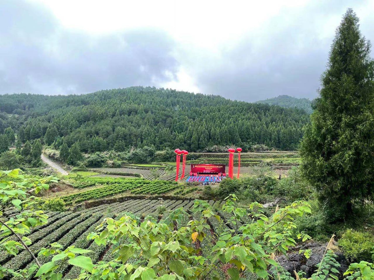 IFAD and China launch project to revitalise the rural economy in Hunan ...