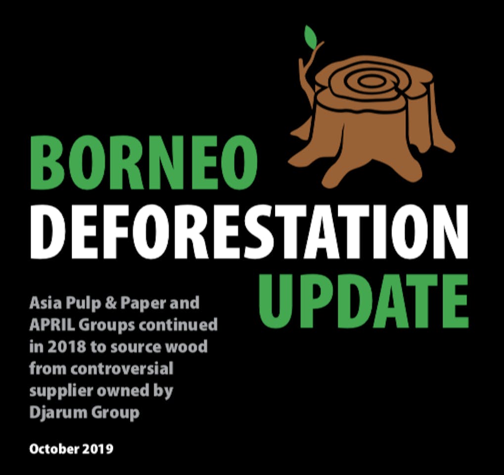 Asia Pulp & Paper and APRIL Groups continued in 2018 to source wood ...
