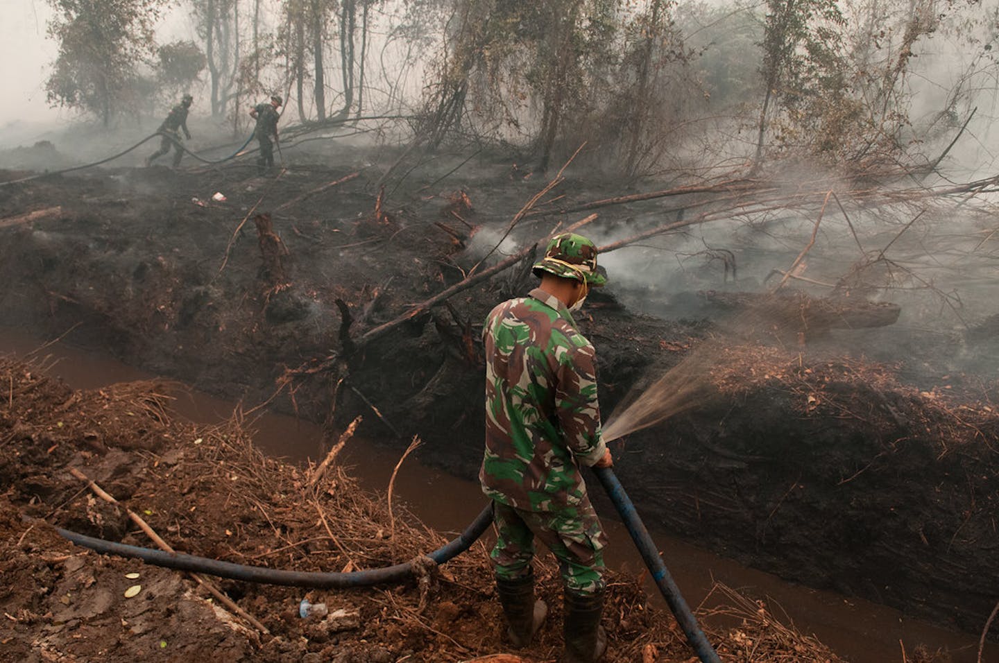 Peatland on fire as burning season starts anew in Indonesia | News ...