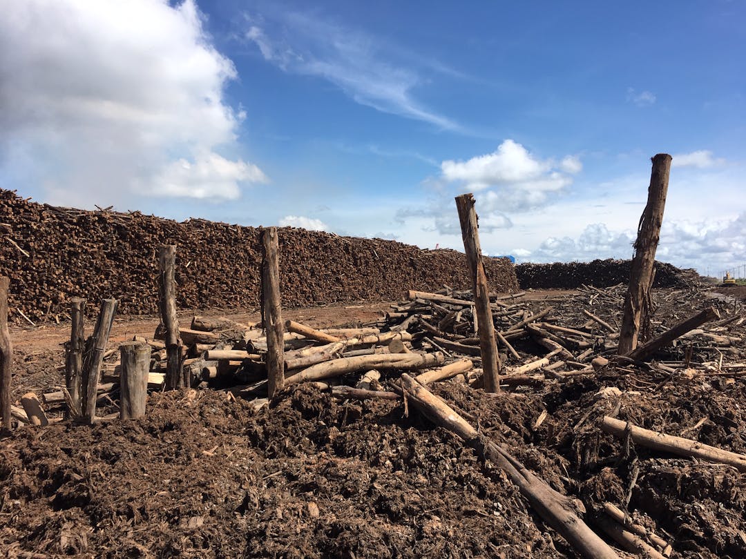 In pictures: APP's mega pulp mill | News | Eco-Business | Asia Pacific