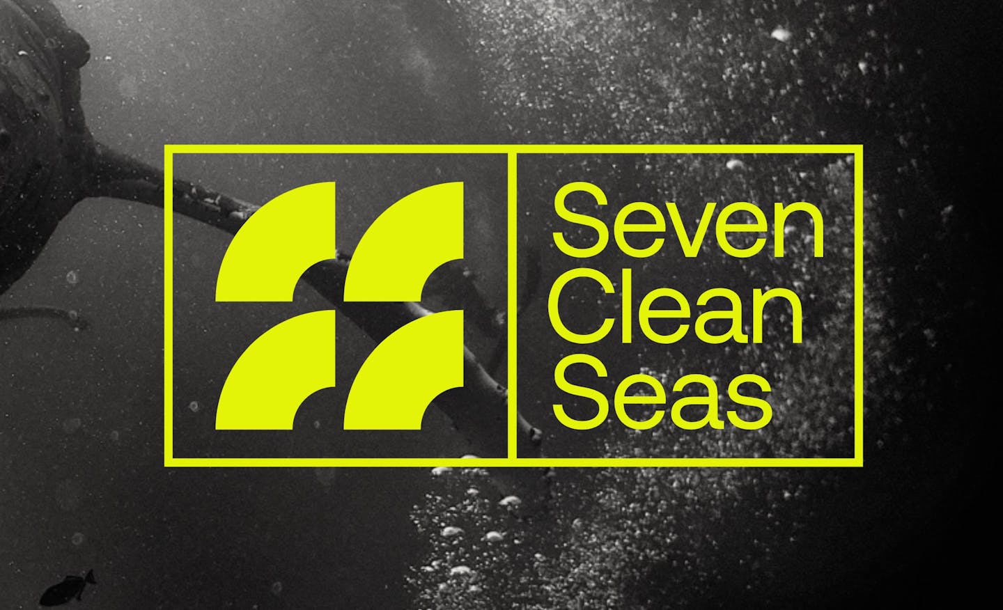 Seven Clean Seas staffs up as plastic offsetting firm adds auditing ...