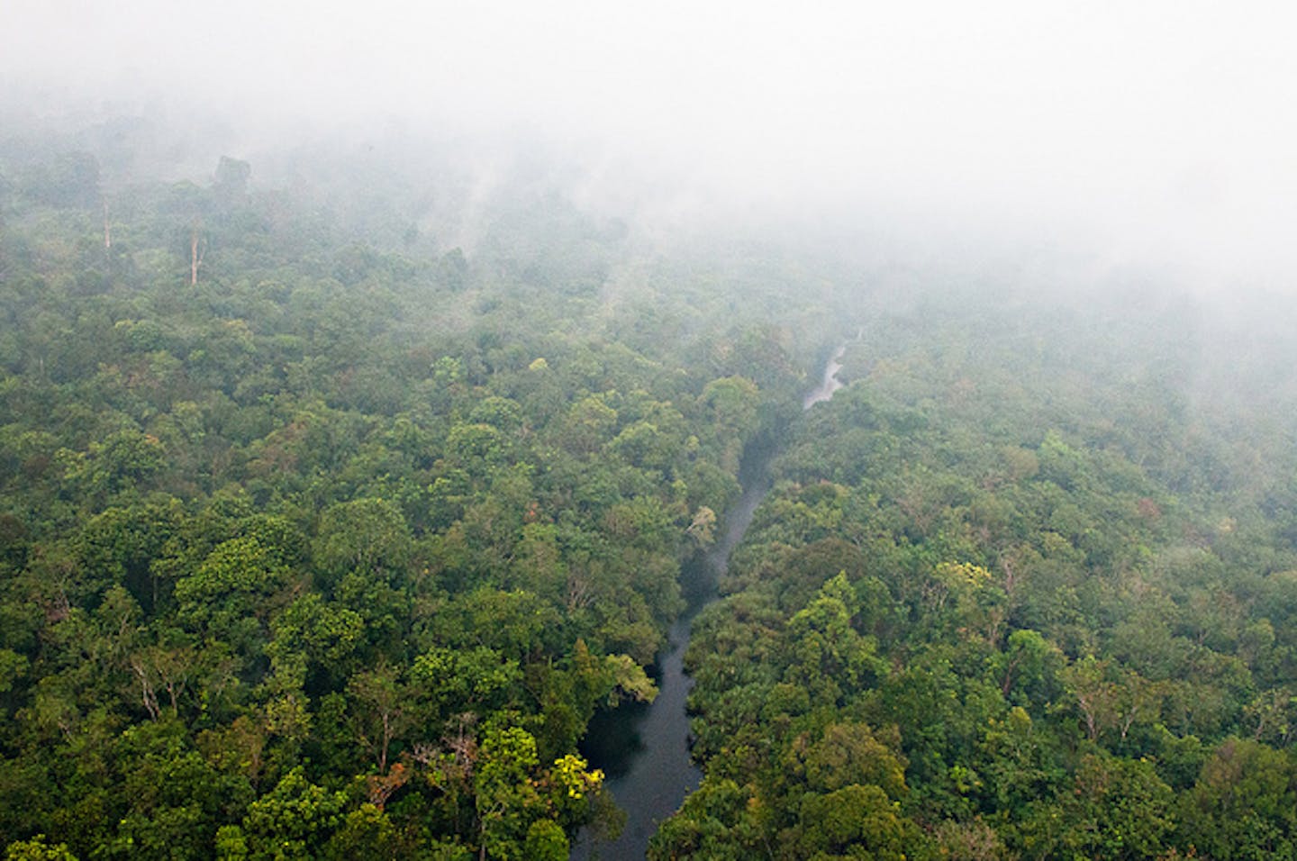 Carbon emissions from Indonesia forest fires hit new high | News | Eco ...