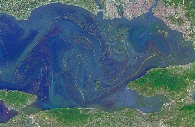 Ocean oxygen depletion could happen again | News | Eco-Business | Asia ...