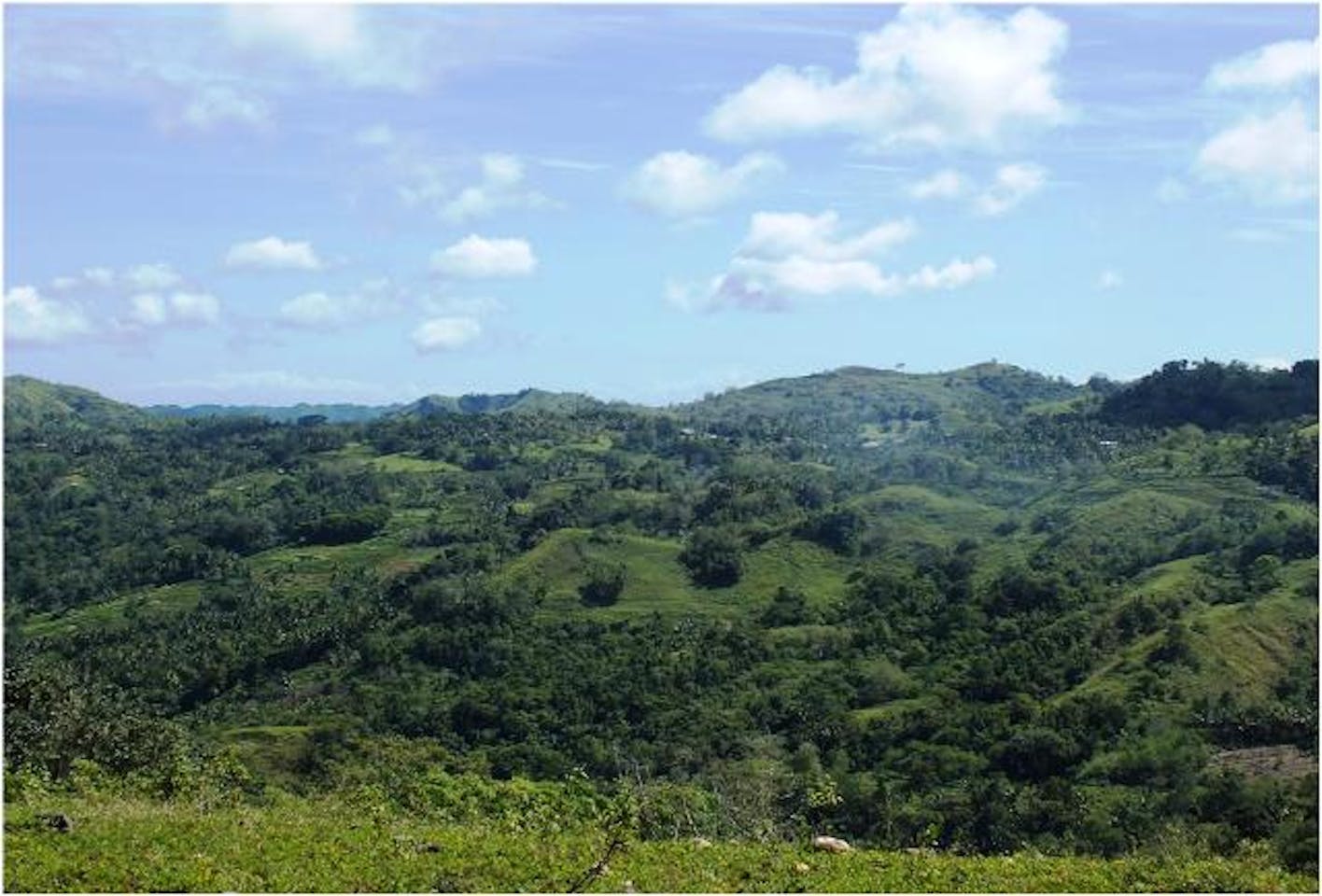 Agroforestry systems can repair degraded watersheds | News | Eco ...