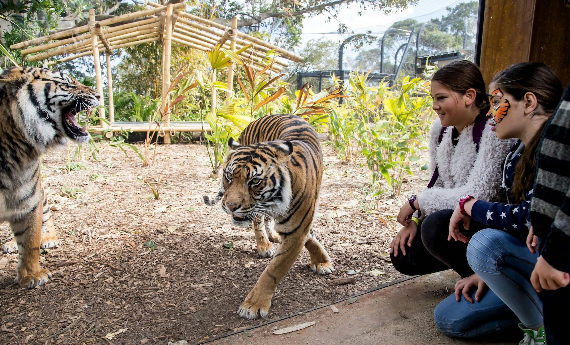 Taronga Zoo champions sustainable palm oil | News | Eco-Business | Asia ...