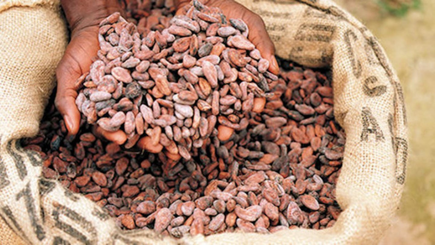 Sustainable chocolate that feels as good as it tastes | News | Eco ...