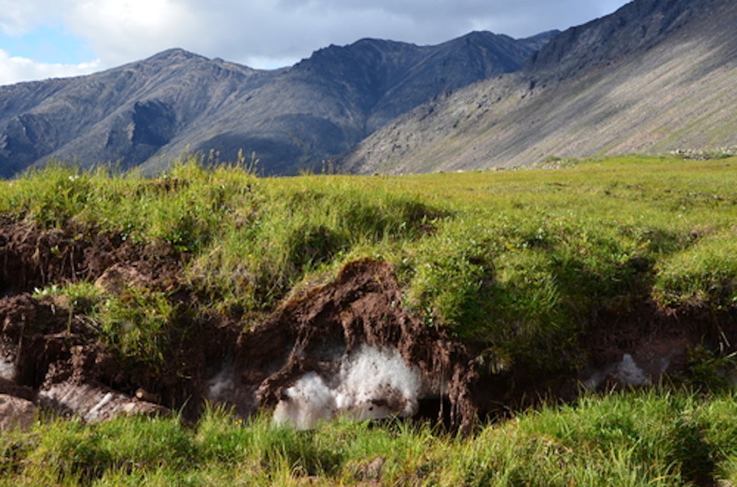 Permafrost holds key to release of trapped carbon | News | Eco-Business ...