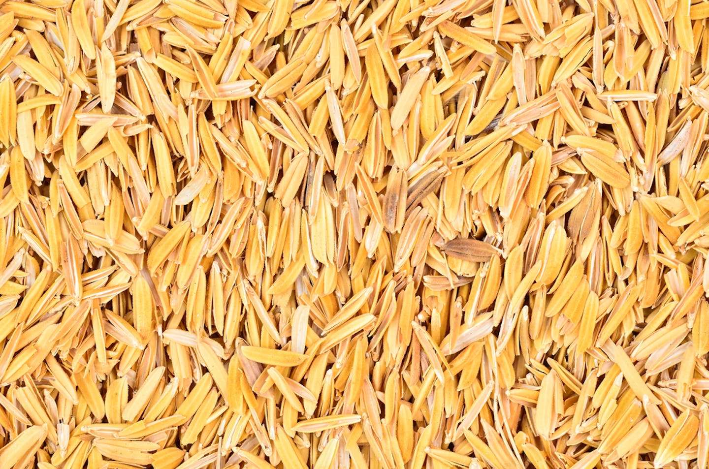 In Benin, a new stove turns rice waste into clean fuel | News | Eco ...