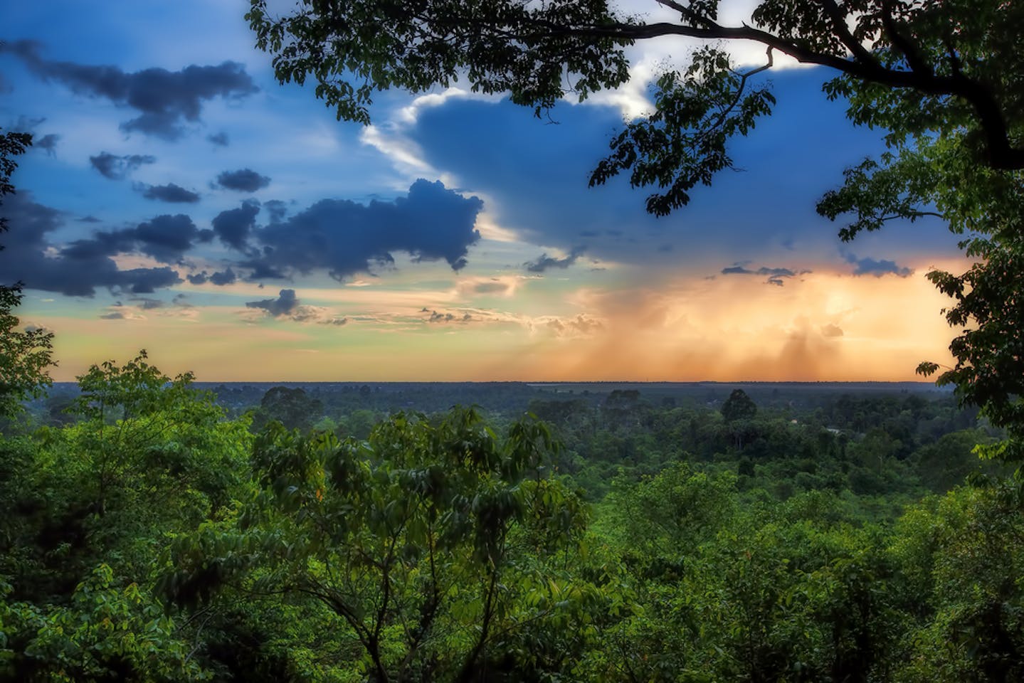 Cambodia declares protected area in hotly contested Prey Lang forest ...
