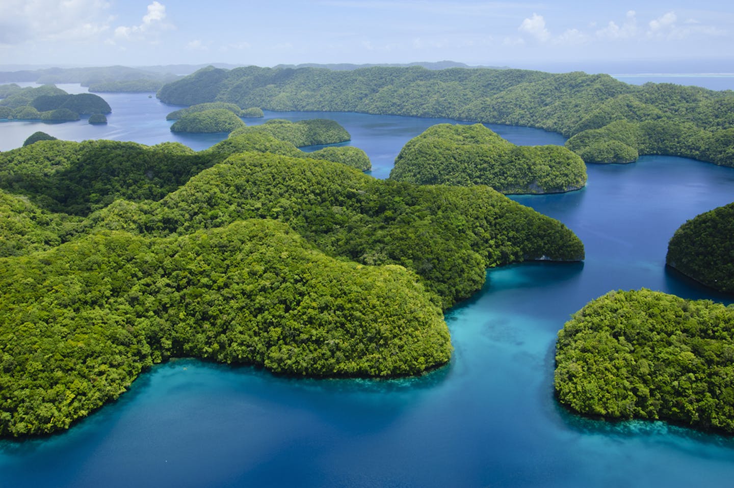 Payment system for Pacific ecosystems protection ready | News | Eco ...