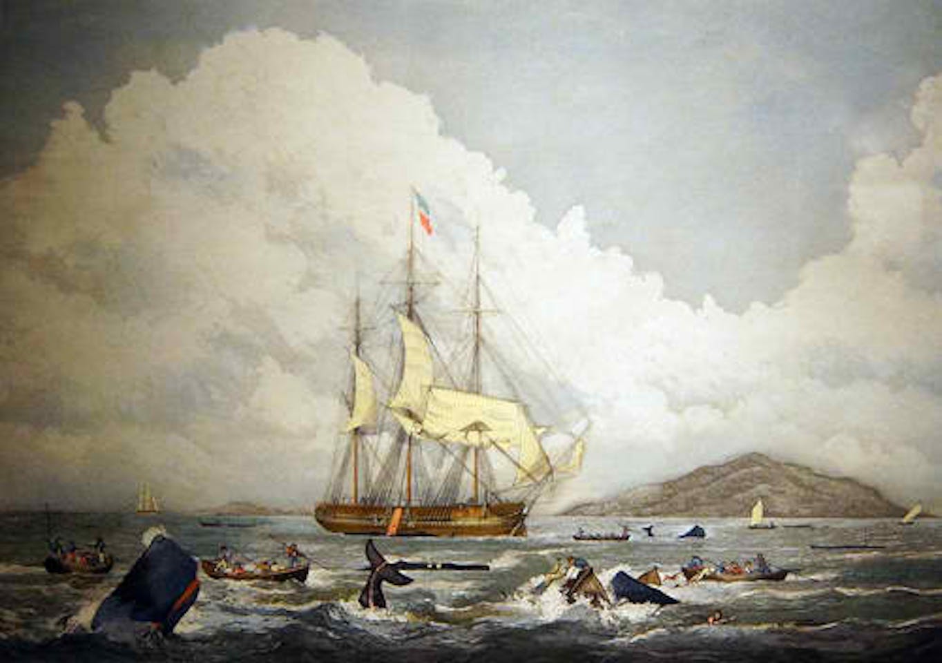 Whaling history’s clues to climate future | News | Eco-Business | Asia ...