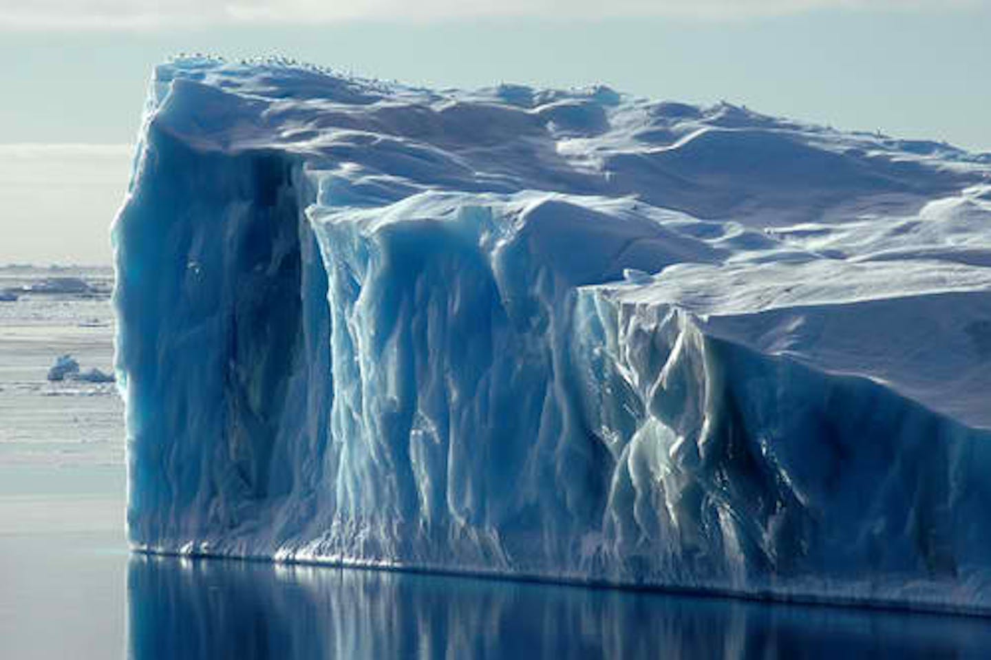 Giant icebergs boost Southern Ocean carbon storage, says study | News ...