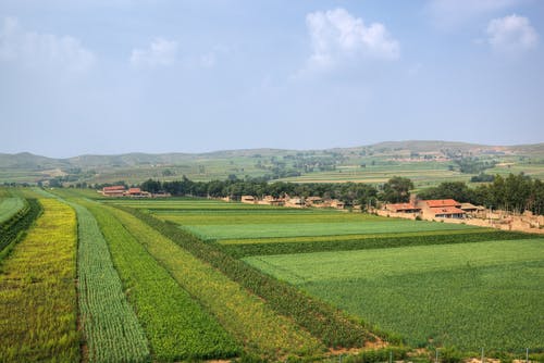Food security, rural environment top China's policy agenda in 2014 ...