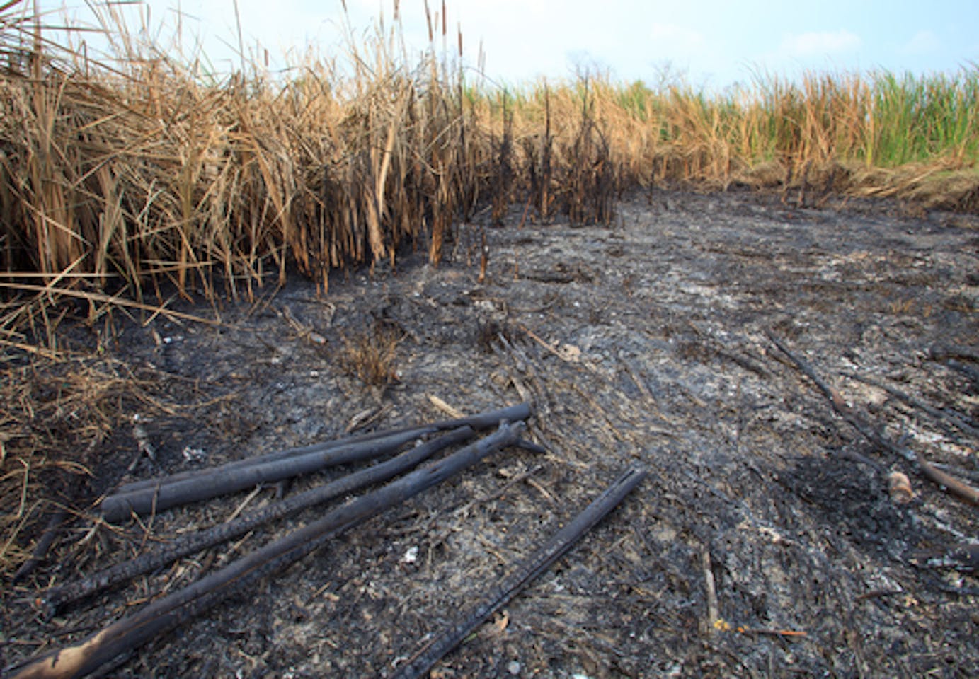 Malaysia not to assist Malaysian firms burning land in Indonesia | News ...