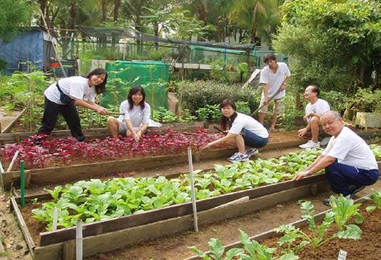 Community bonding through urban farming | News | Eco-Business | Asia ...