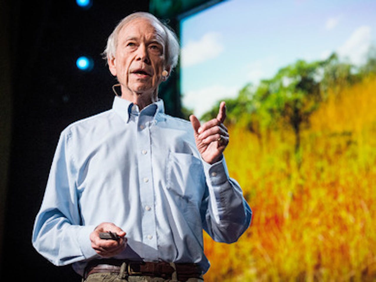 Allan Savory: How to green the desert and reverse climate change | News ...